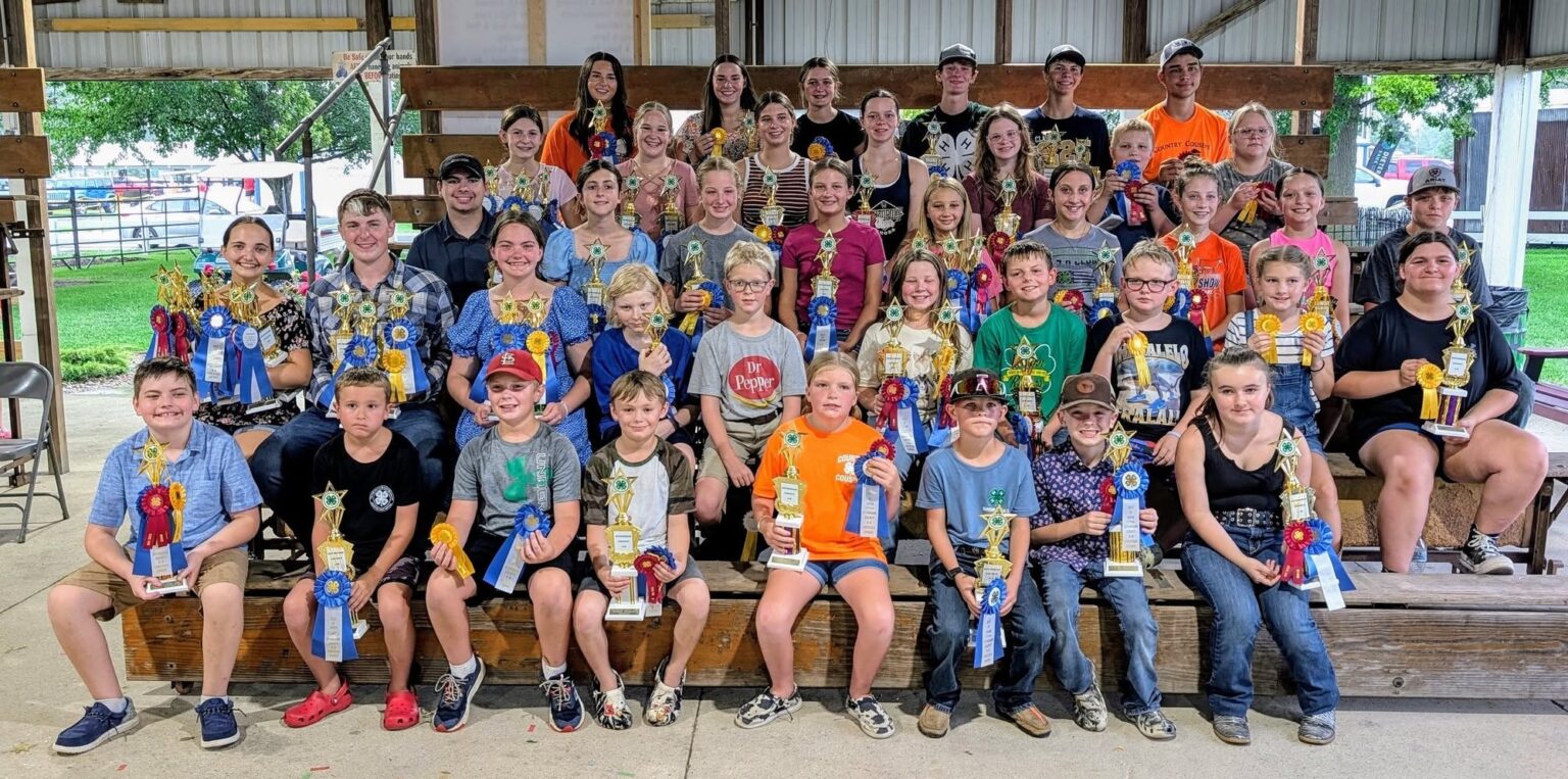 Effingham County 4-H General Projects Winners - Effingham's News and ...