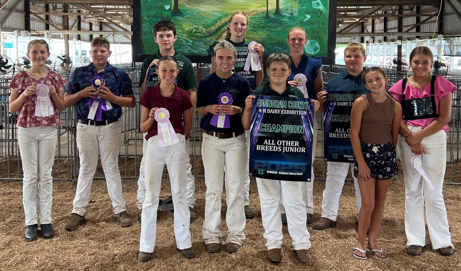 Effingham County Fair 4-H Dairy Award Winners - Effingham's News and ...