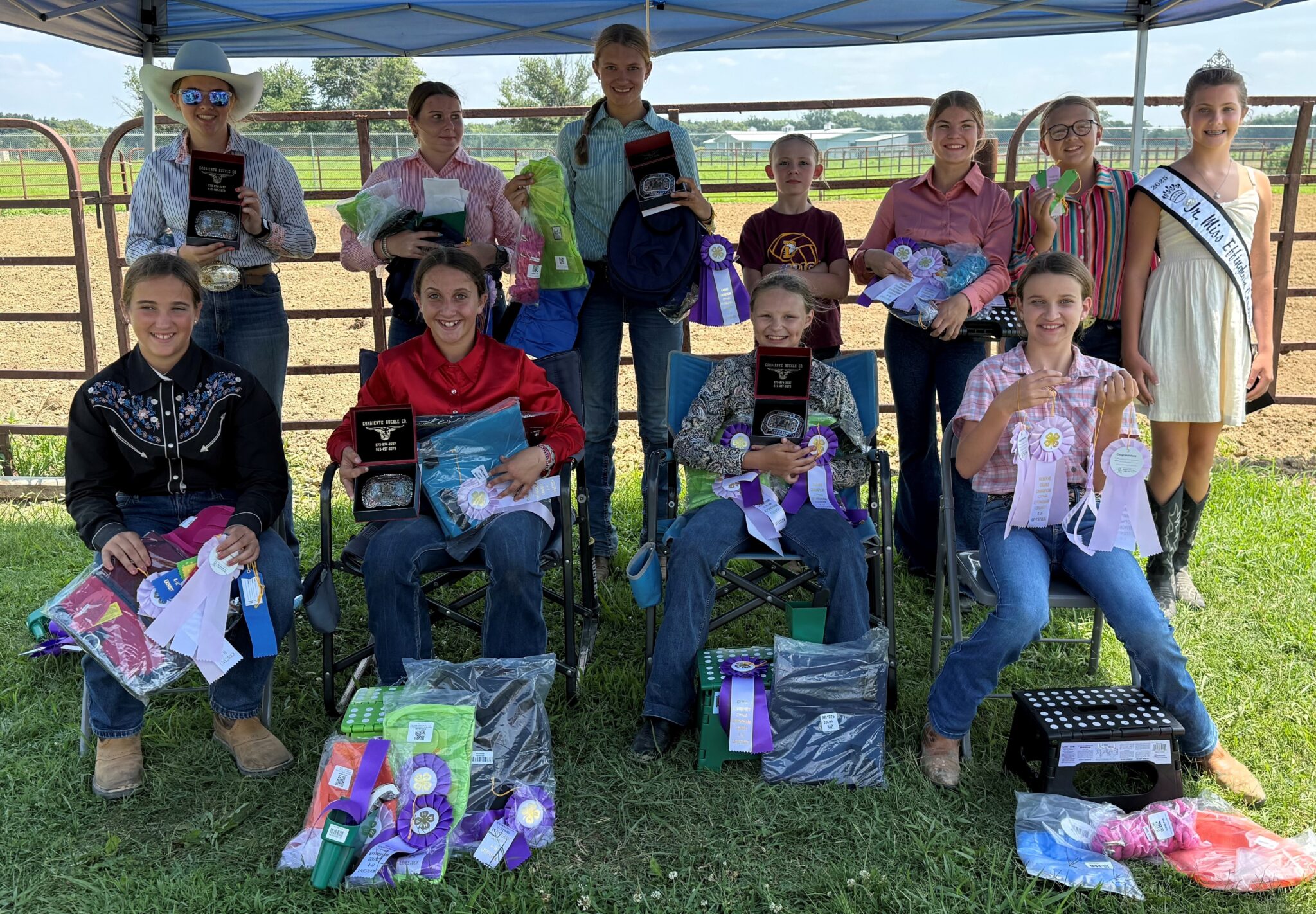 Effingham County 4-H Horse Show Winners At Effingham County Fair - Effingham's News and Sports ...
